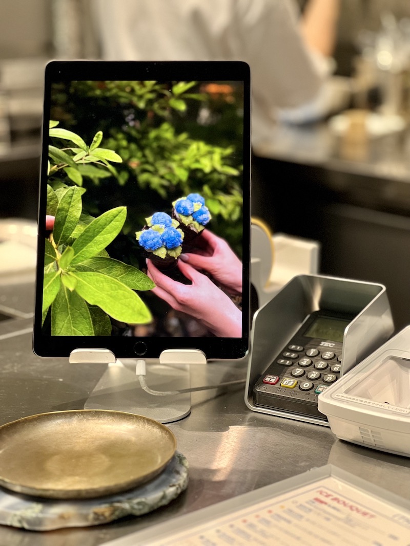 【京都美食】(THISIS)SHIZEN 繡球花冰淇淋｜夢幻花朵造型甜點，新風館IG打卡必吃